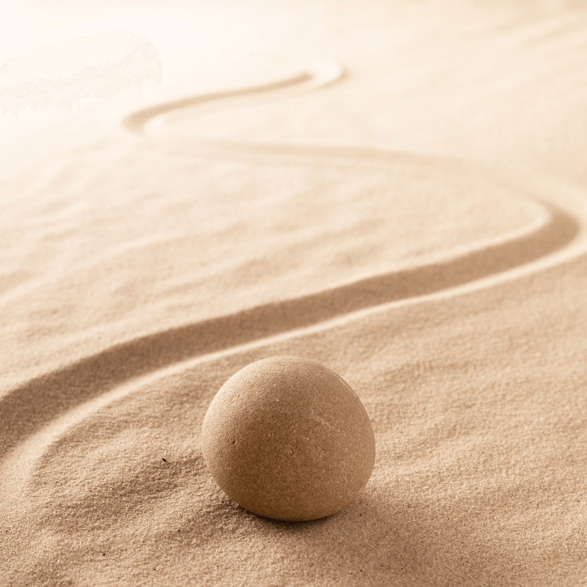 Being mindful in today's world – Sixth Batch